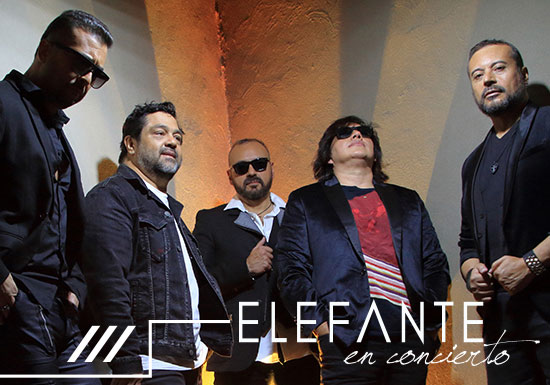 ELEFANTE. Información de próximas fechas y presentaciones. Compra tus ...