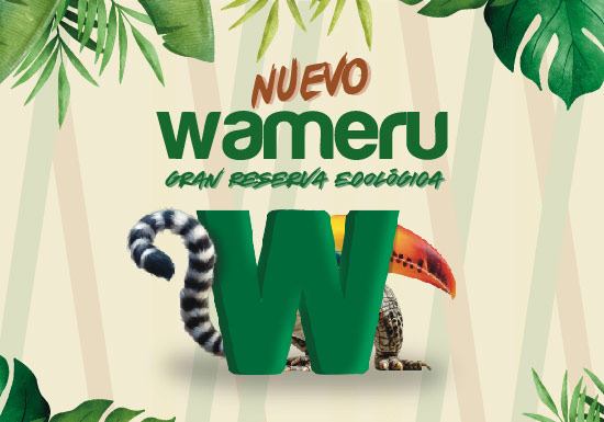 WAMERU. Información de próximas fechas y presentaciones. Compra tus ...